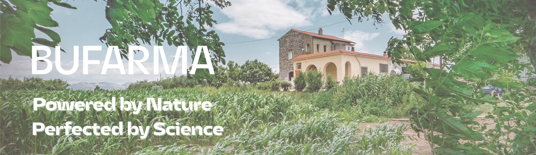 BUFARMA - SKINCARE